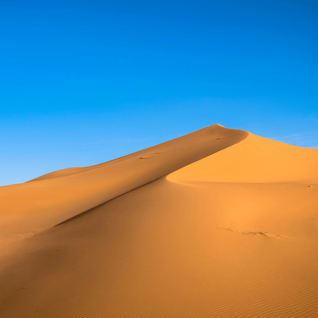 Exploring the Desert: 10 Essential Preparation Tips | Center